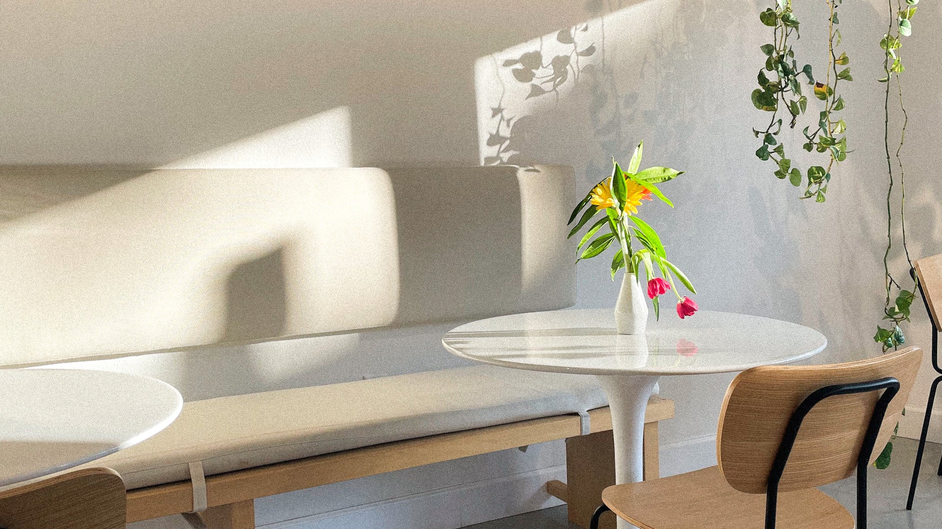 BURNS COURT – Project Coffee